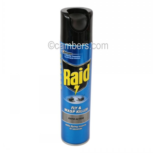 Raid Fly & Wasp Killer 300ml | Cambers Country Store