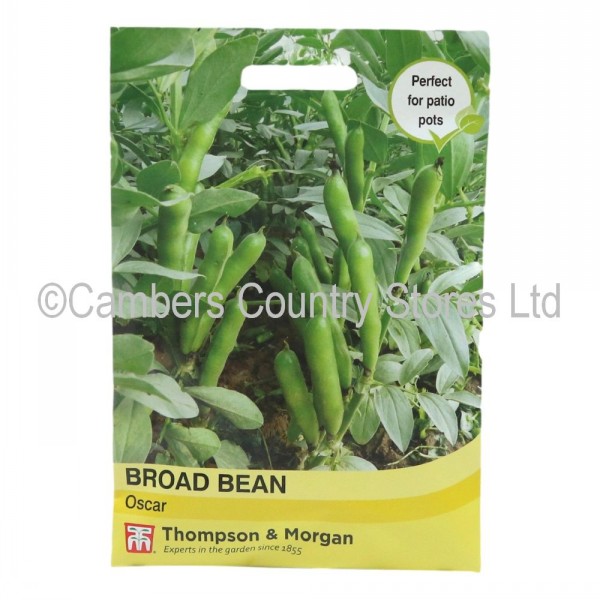 Thompson & Morgan Broad Bean Oscar | Cambers Country Store