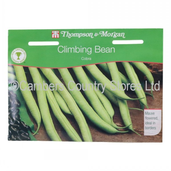 Thompson & Morgan Climbing Bean Cobra | Cambers Country Store