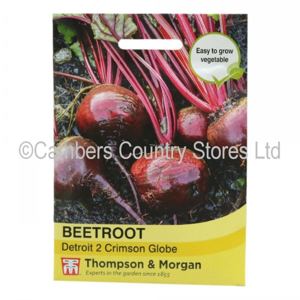 Thompson & Morgan Beetroot Detroit 2 Crimson Globe | Cambers Country Store