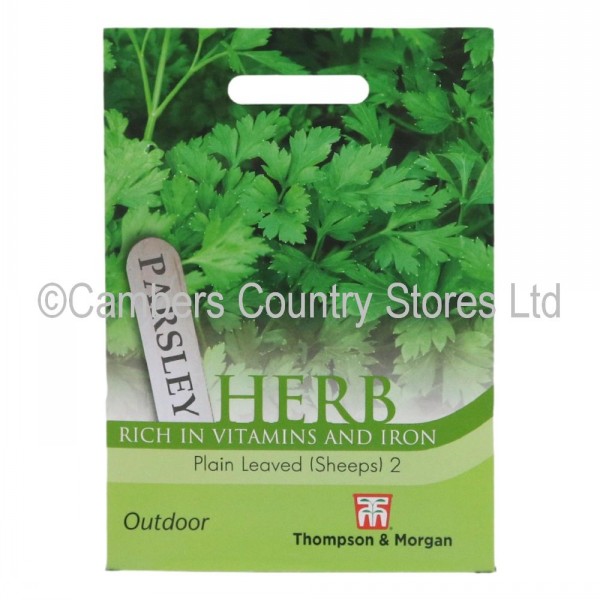 Thompson & Morgan Herb Parsley Plain Leaved | Cambers Country Store