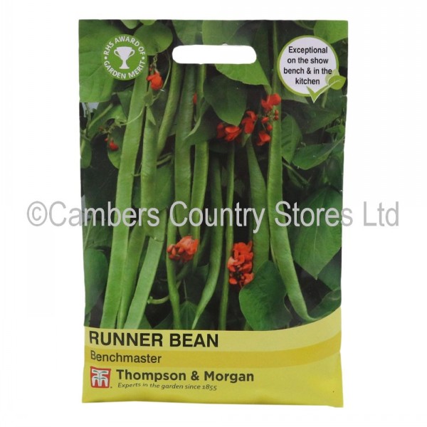 Thompson & Morgan Runner Bean Benchmaster | Cambers Country Store