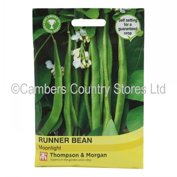 Thompson & Morgan Runner Bean Moonlight | Cambers Country Store
