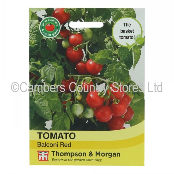 Thompson & Morgan Tomato Balconi Red | Cambers Country Store