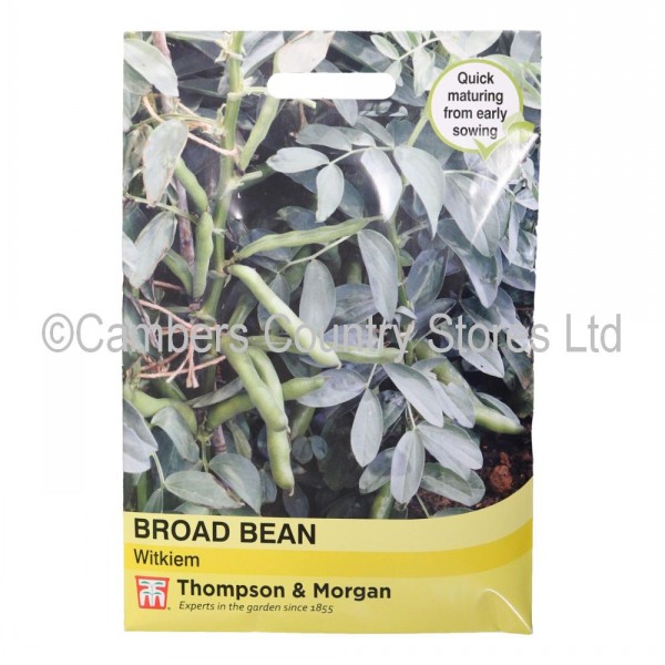 Thompson & Morgan Broad Bean Witkiem | Cambers Country Store