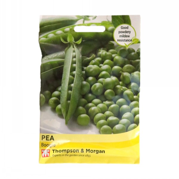 Thompson & Morgan Pea Boogie | Cambers Country Store