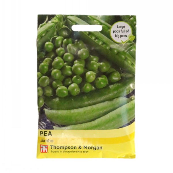 Thompson & Morgan Pea Jumbo | Cambers Country Store