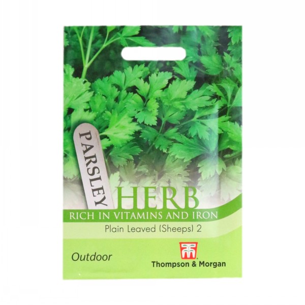 Thompson & Morgan Herb Parsley Plain Leaved | Cambers Country Store