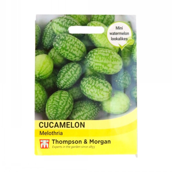Thompson & Morgan Cucamelon Melothria | Cambers Country Store