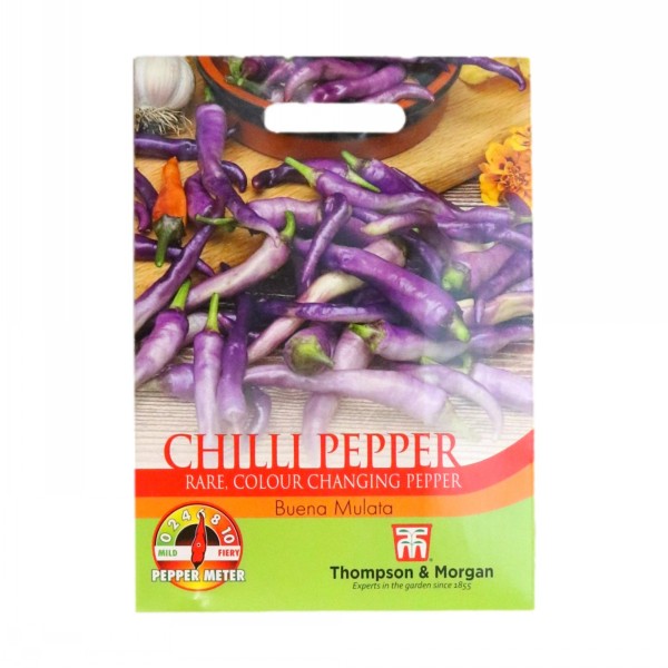 Thompson & Morgan Chilli Pepper Buena Mulata | Cambers Country Store