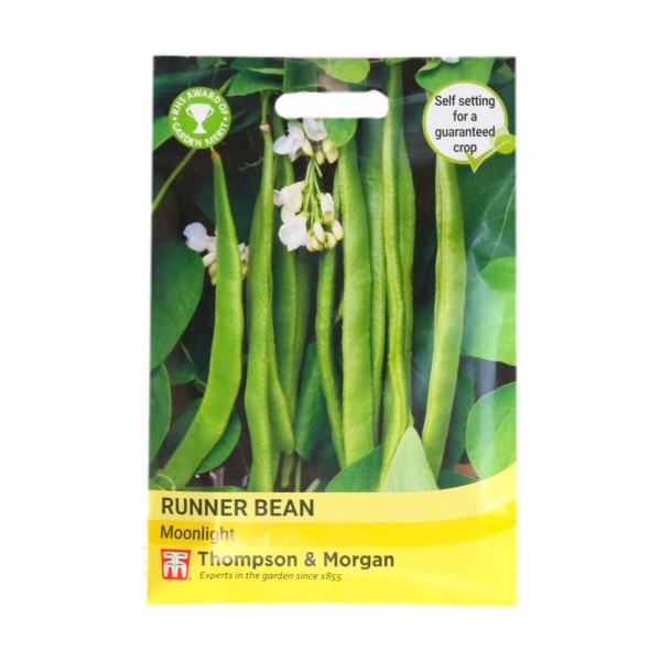Thompson & Morgan Runner Bean Moonlight | Cambers Country Store