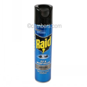Raid Fly & Wasp Killer 300ml | Cambers Country Store