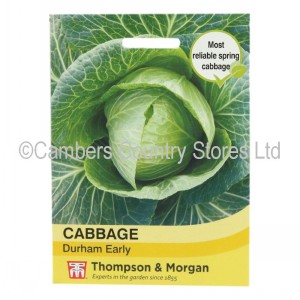 Thompson & Morgan Cabbage Durham Early | Cambers Country Store