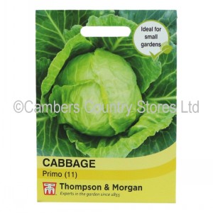 Thompson & Morgan Cabbage Primo (11) | Cambers Country Store
