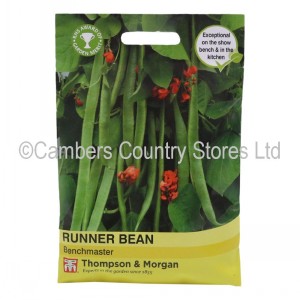 Thompson & Morgan Runner Bean Benchmaster | Cambers Country Store